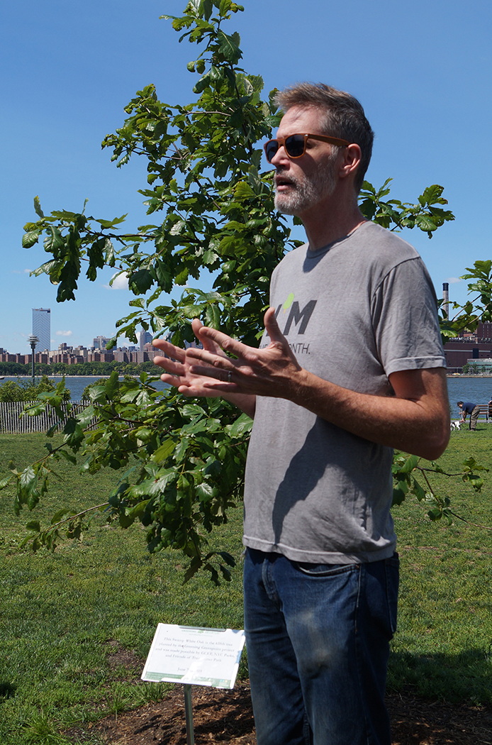 Greening Greenpoint Plants Final Tree – The Greenline