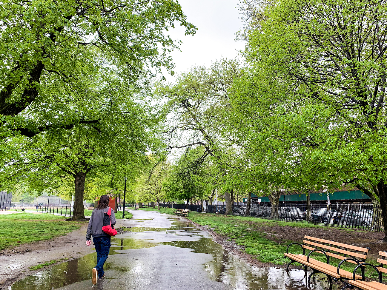 Extra Cleanups Coming to McCarren Park – The Greenline