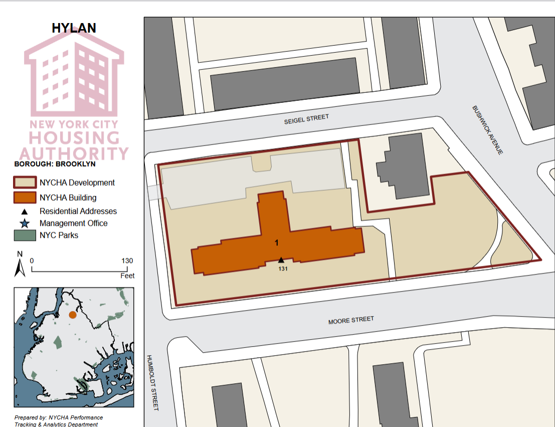 The Greenline – North Brooklyn Community News