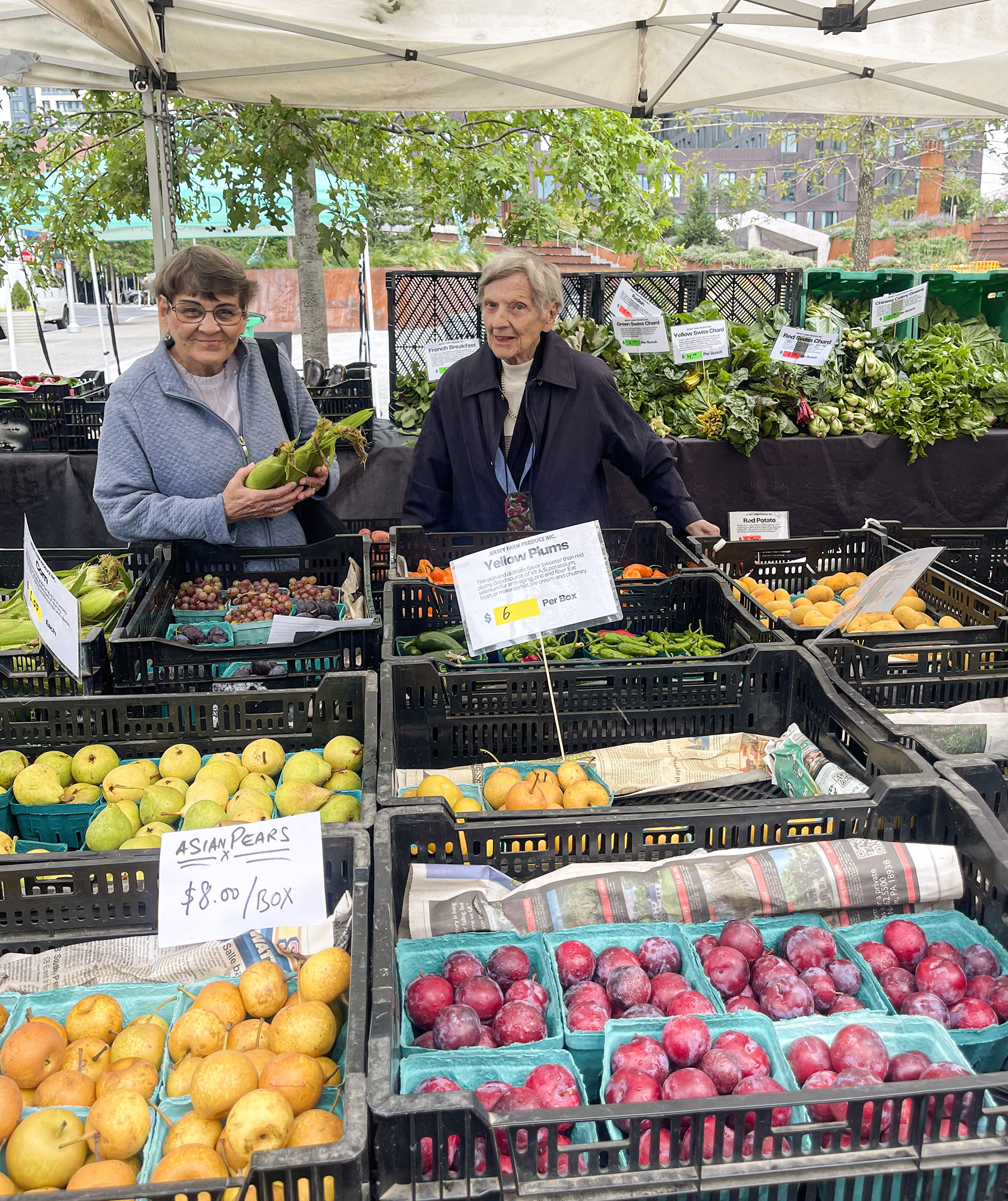 Seniors Discover Longevity (Sticks) at Domino Park – The Greenline